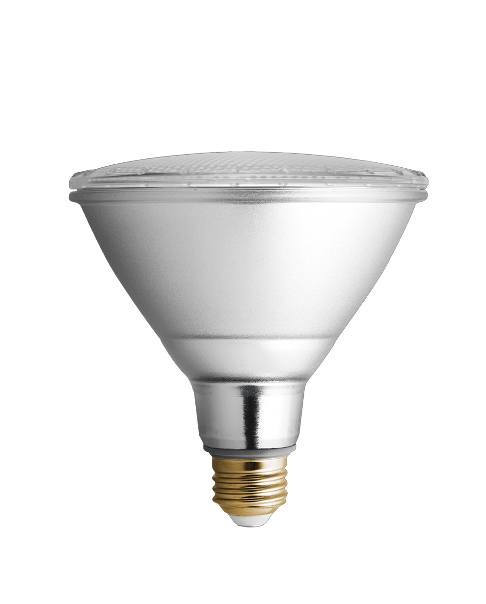 PAR 38 Led Bulb 3000k – Goodlite